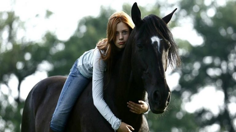 Windstorm 5-Uniti per sempre: trama del film in onda stasera su Canale5 ...